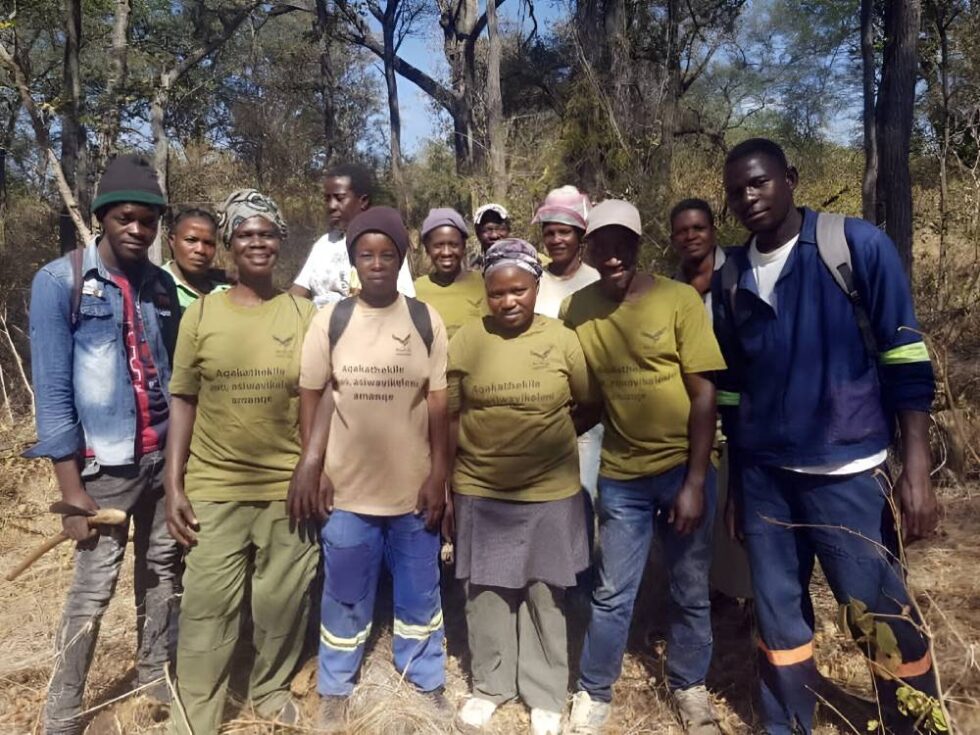 Local Engagement and Empowerment | Birdlife Zimbabwe